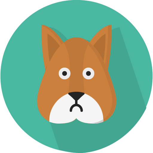 Squirrel icon svg png free download